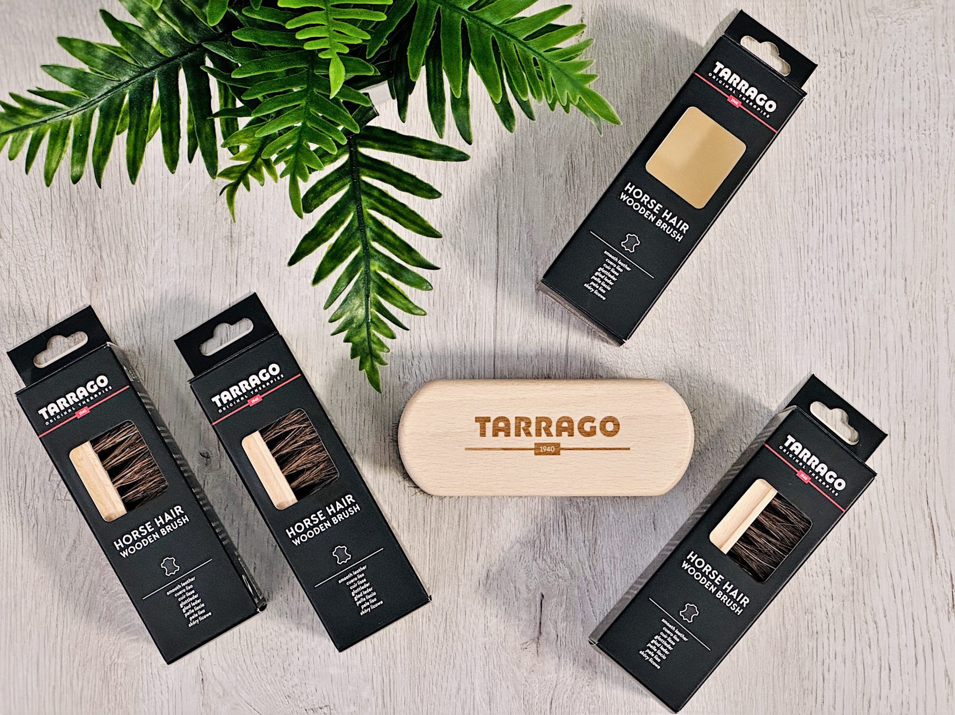New actions to promote sustainability at Tarrago Brands - Tarrago
